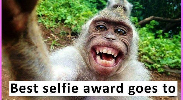 Funny Selfie Meme